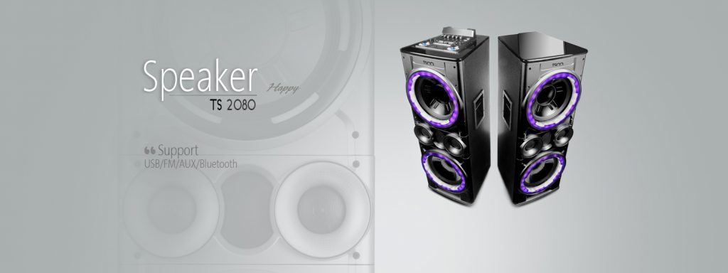 Speaker TSCO TS-2080 اسپیکر ایستاده تسکو با قدرت بالا